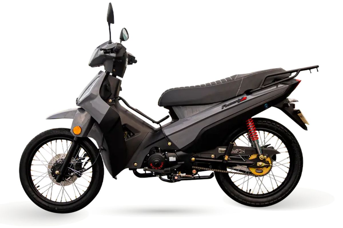 Shineray Phoenix S 2025 - preço da moto que não exige CNH e que está ...